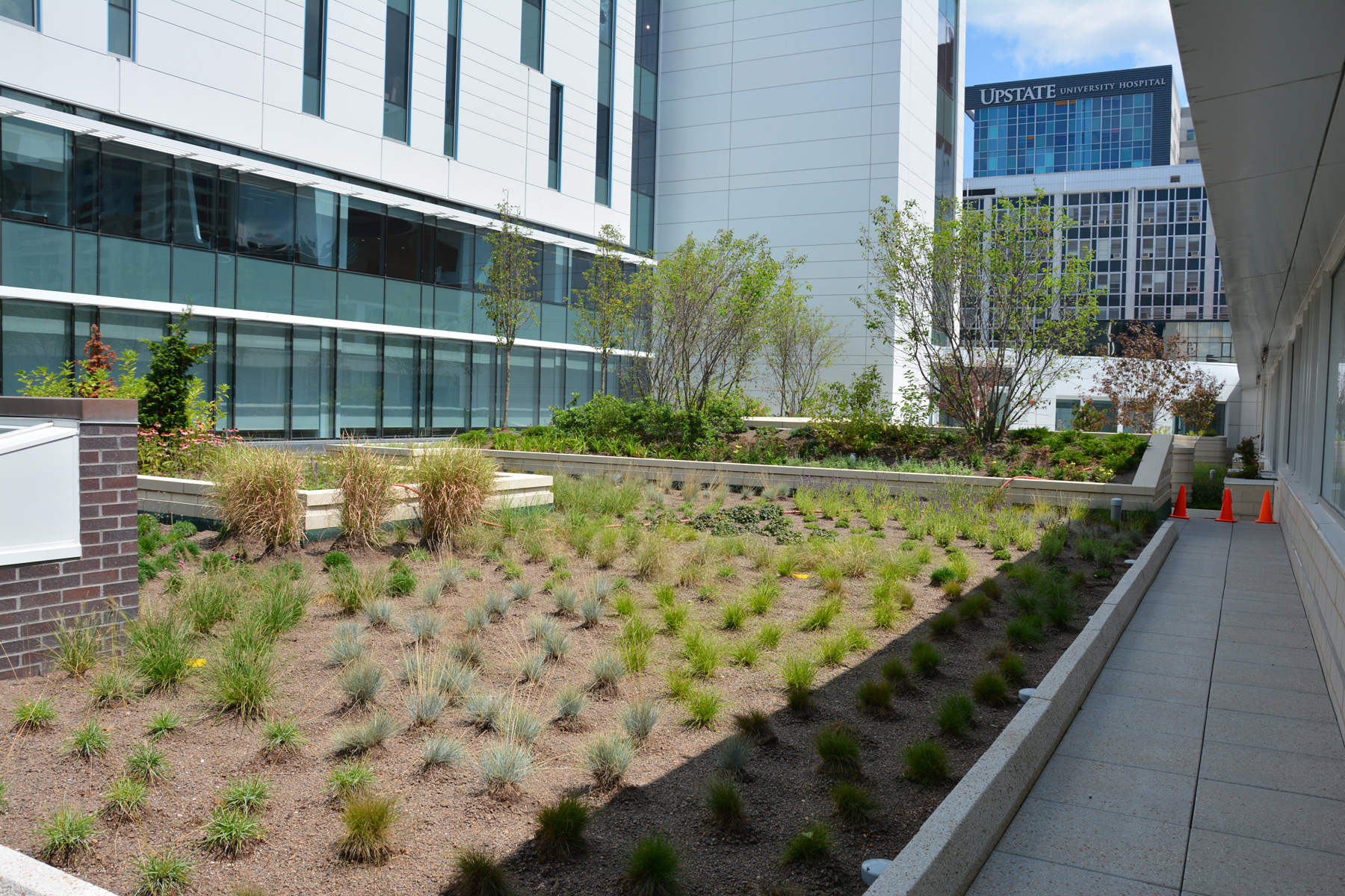 Cancer Center Roof Garden - Environmental Design & Research, Landscape ...