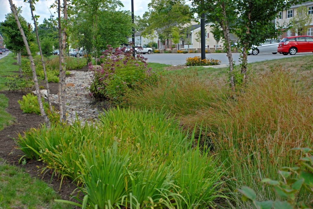 Visualization Archives - Page 3 of 4 - Environmental Design & Research ...