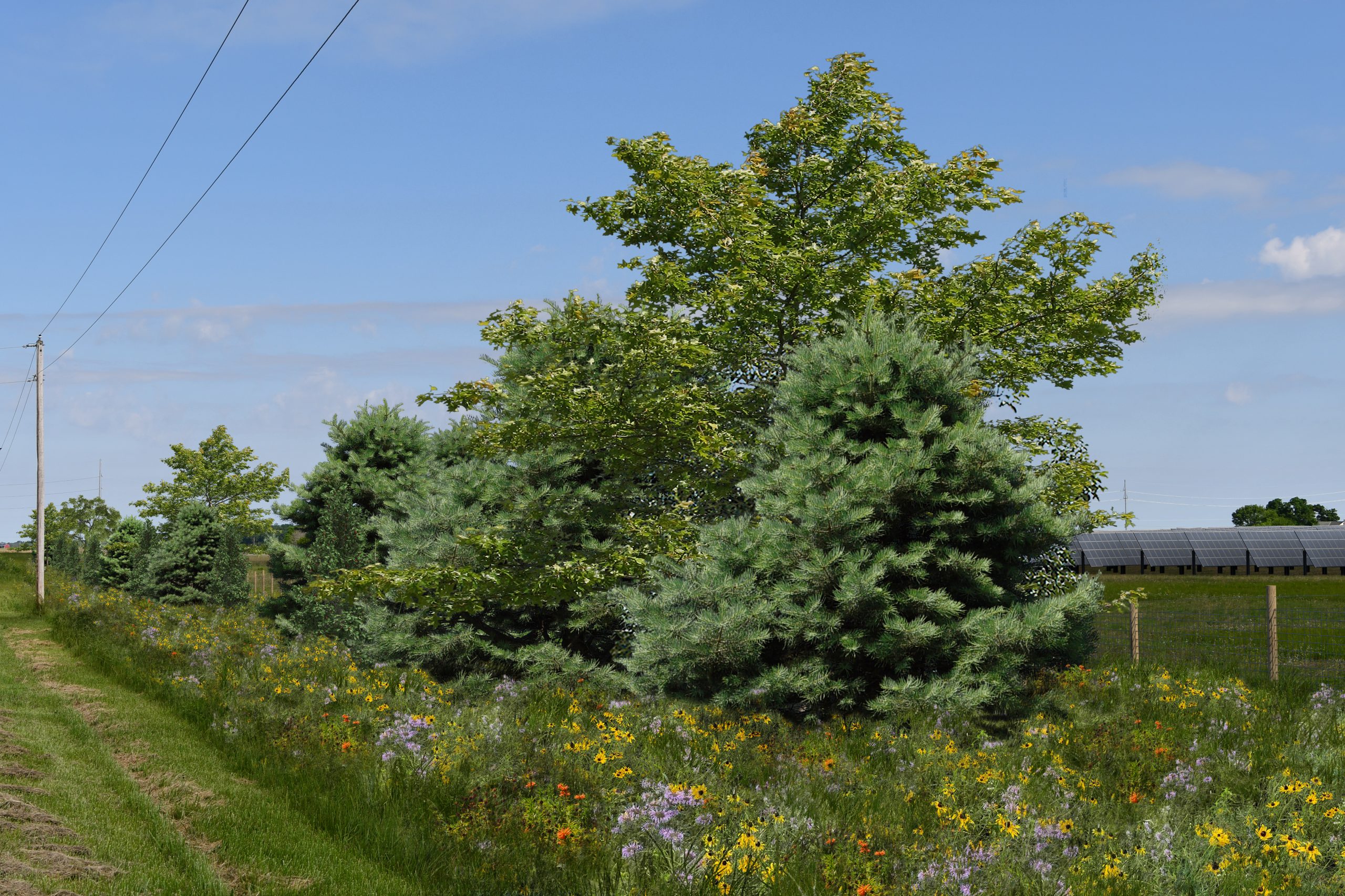 Yellowbud Solar - Environmental Design & Research, Landscape ...