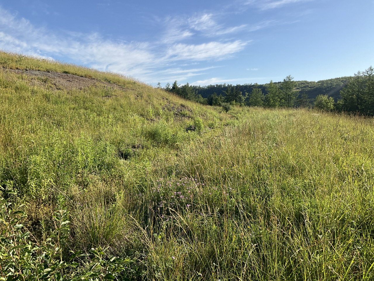 Mineral Basin Solar Energy Center - Environmental Design & Research ...