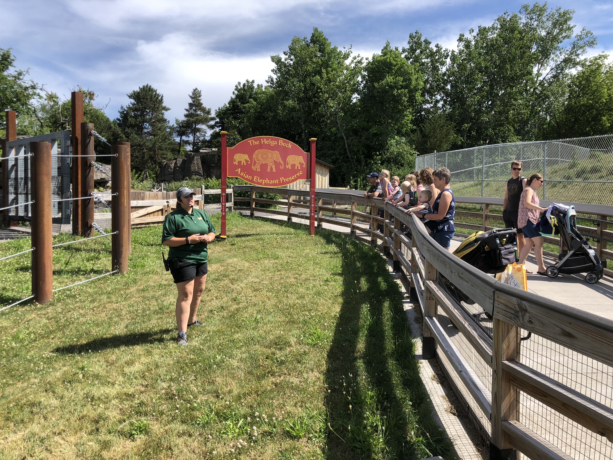 Rosamond Gifford Zoo at Burnet Park Asian Elephant Exhibit Walkway ...